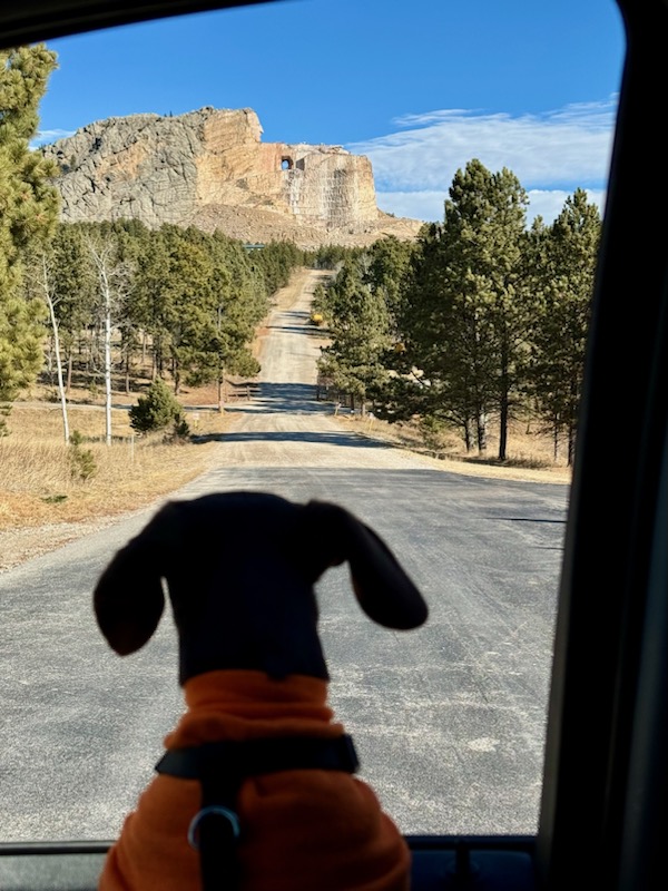 Home - Road Runner